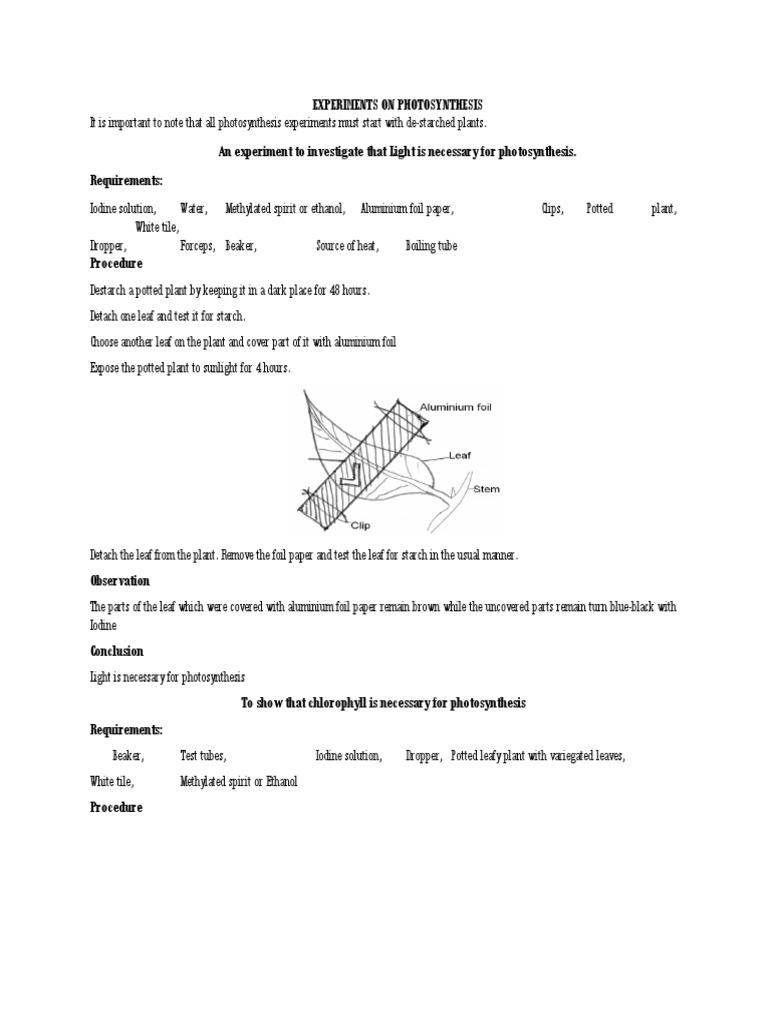 Photosynthesis Experiment Procedures | PDF | Plant Nutrition | Chemistry