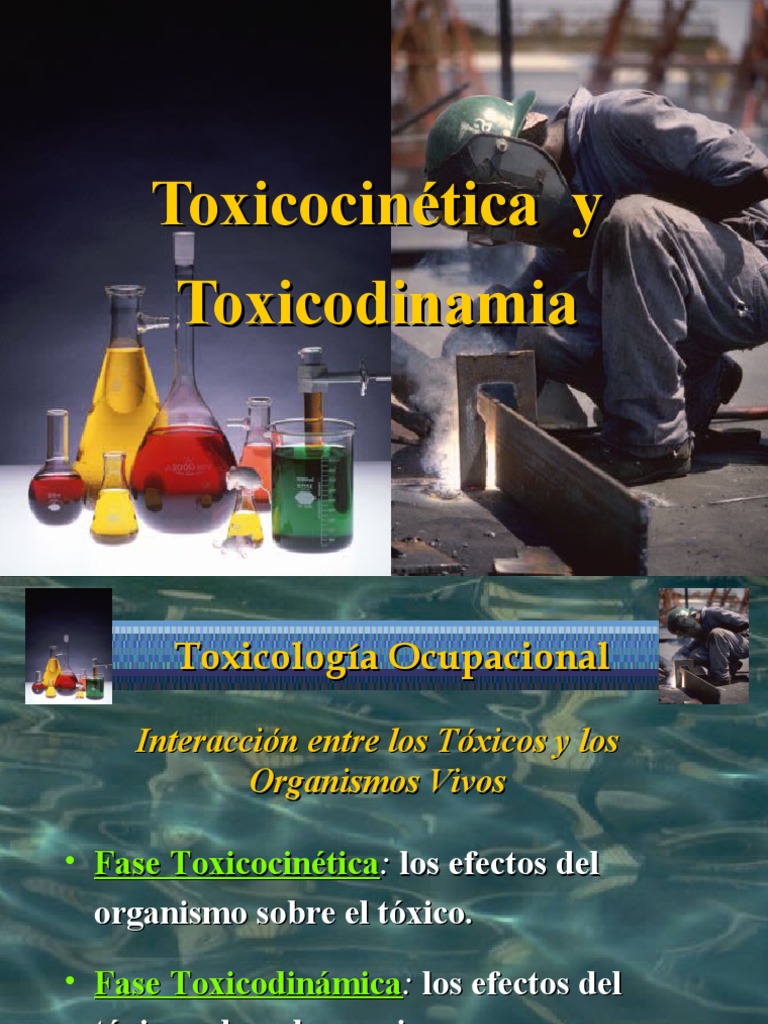 Toxicocinetica y Toxicodinamia | PDF | Toxicología | Toxicidad
