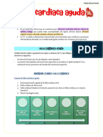 Protocolo Blue | PDF | Enfermedades y trastornos | Neumología