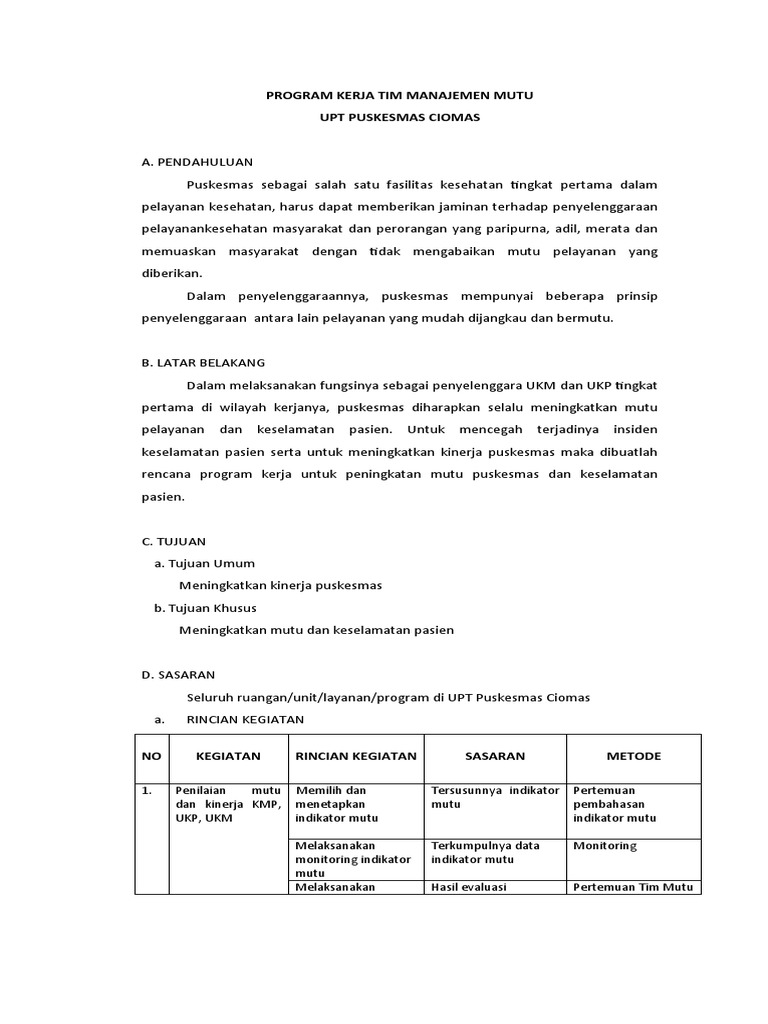 Program Kerja Tim Mutu | PDF
