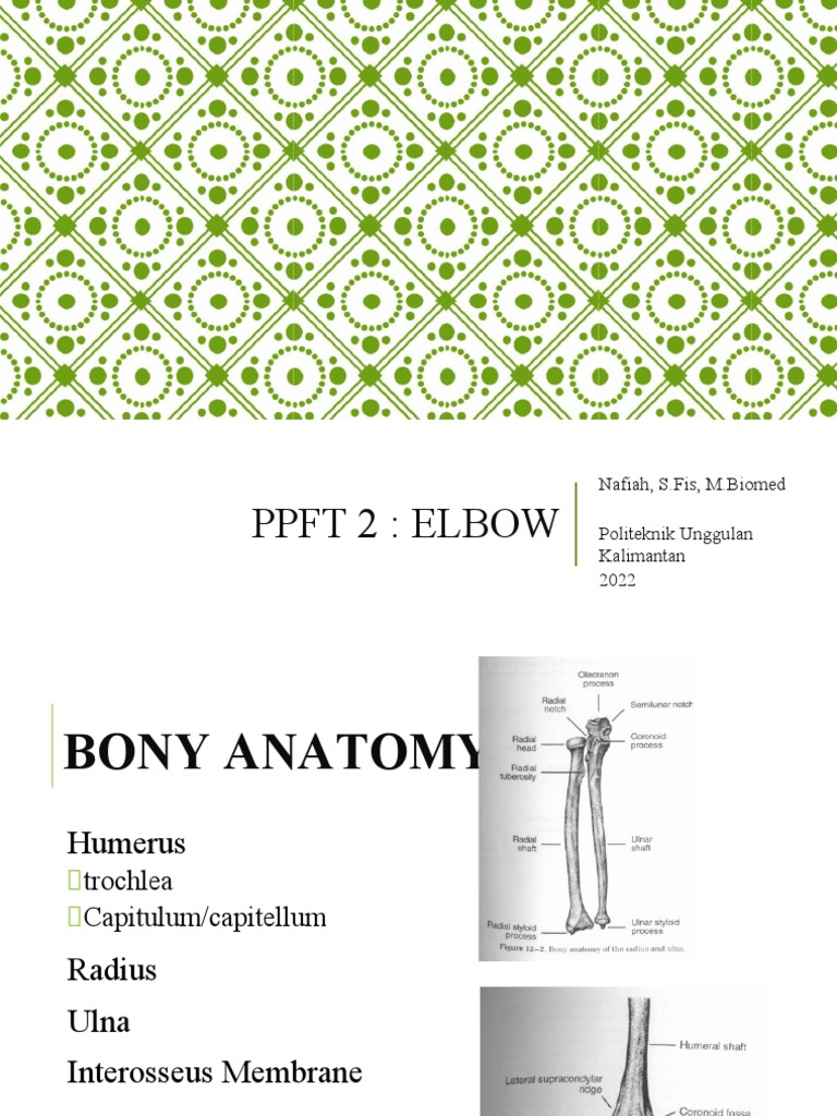 Elbow | PDF
