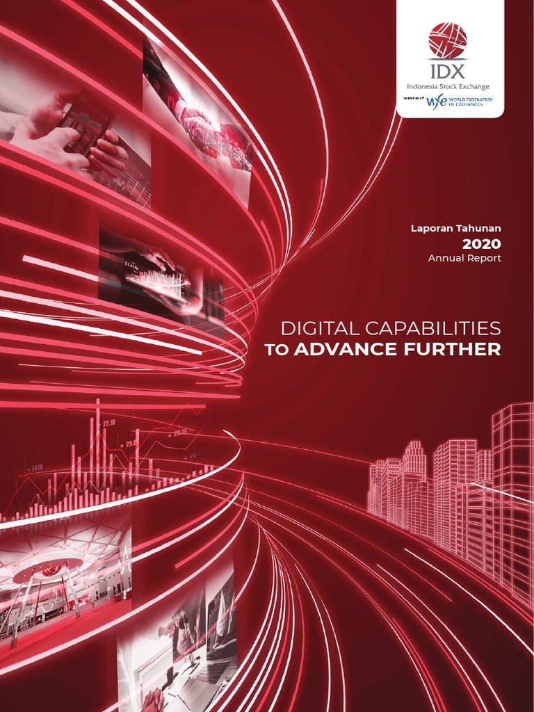 Digital Capabilities: Advance Further | PDF