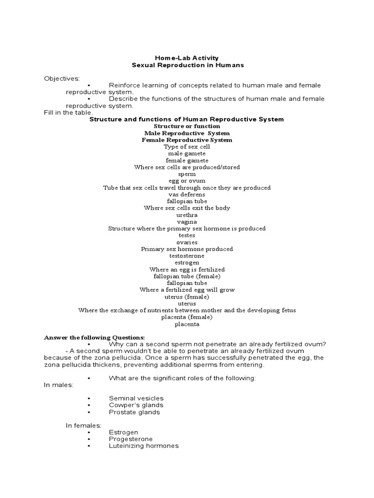 Home Lab Activity 3.1 Sexual Reproduction in Humans | PDF ...
