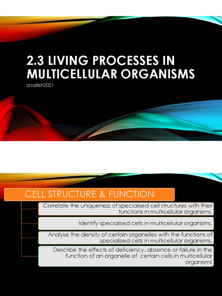 2.3 Living Processes in Multicellular Organisms: D.salleh2021 | PDF ...