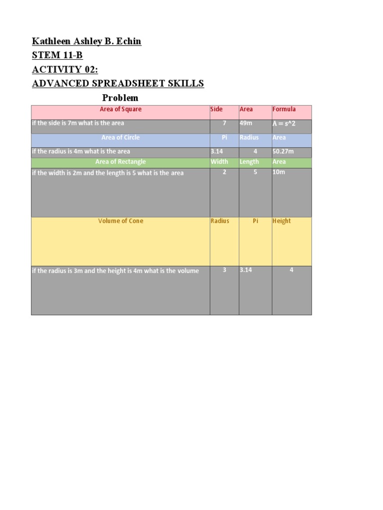 Kathleen Ashley B. Echin STEM 11-B Activity 02: Advanced Spreadsheet Skills | PDF