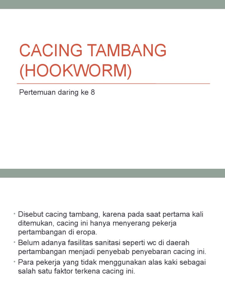 Cacing Tambang (Hookworm) | PDF