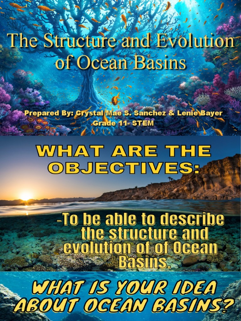 Structure and Evolution of Ocean Basins | PDF | Continental Shelf ...