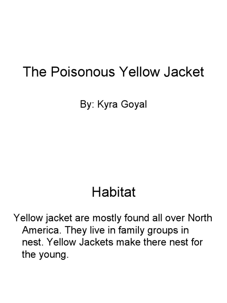 The Poisonous Yellow Jacket | PDF | Home & Garden | Science & Mathematics