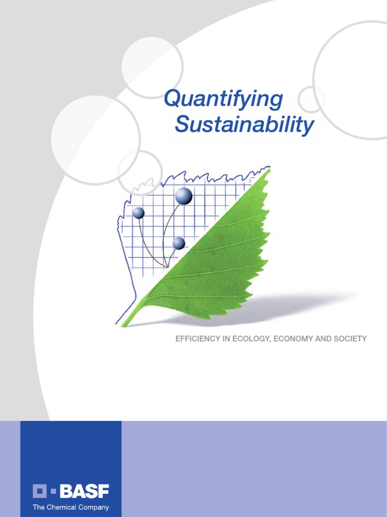 BASF Eco-Efficiency Services | PDF | Life Cycle Assessment | Sustainability