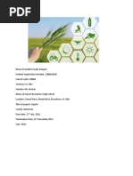 Agri SBA Crop Production | PDF | Lettuce | Fertilizer