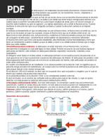 Patrones de ANA e interpretación clínica | PDF
