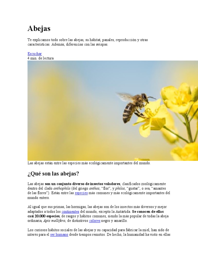Las Abejas | PDF | Abejas | Western Honey Bee