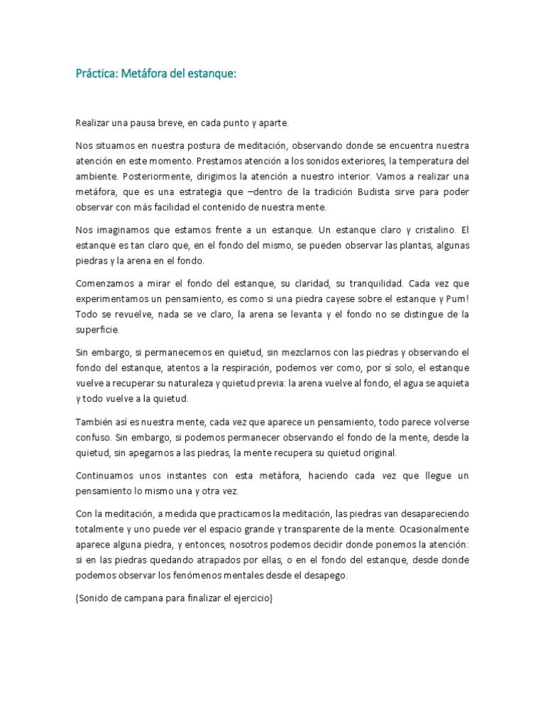 Metafora Del Estanque | PDF