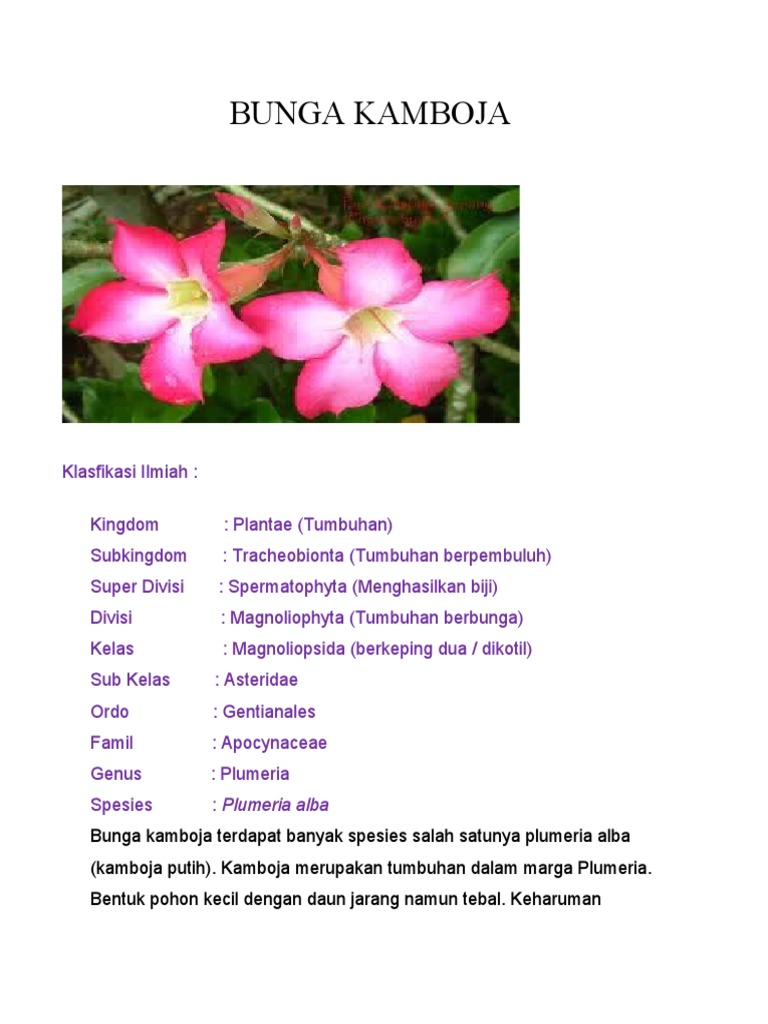 Bunga Kamboja | PDF