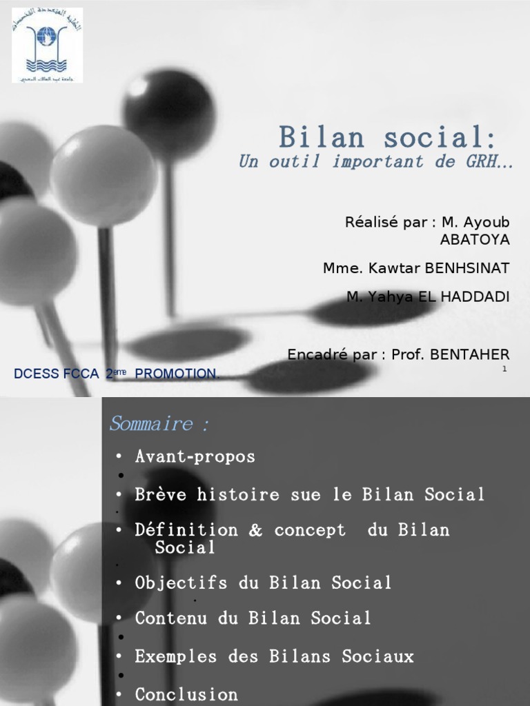 Bilan Social | PDF | Gestion des ressources humaines | Business