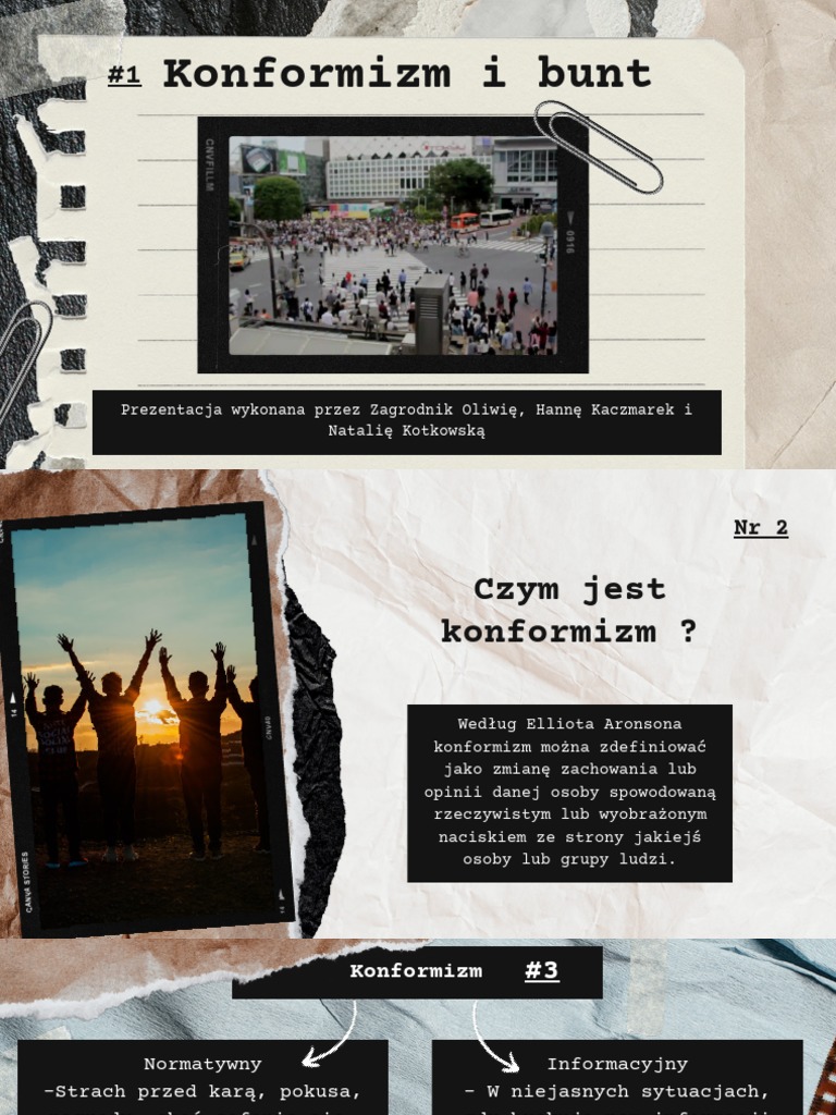 Konformizm I Bunt | PDF