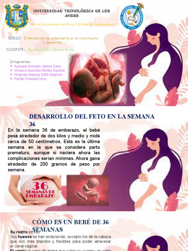 Semanas 36-37-38 | PDF