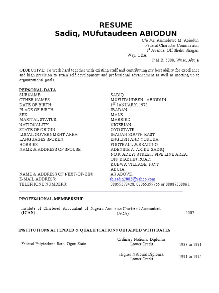 CV Sadiq 2010 | PDF | Audit | Service Industries