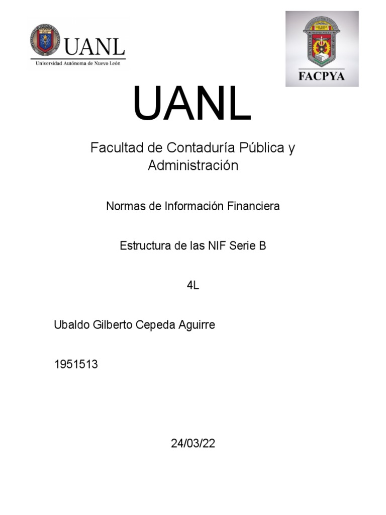 Estructura de las NIF Serie B | PDF