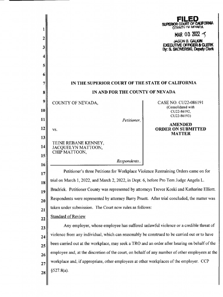 Temporary Restraining Order | PDF