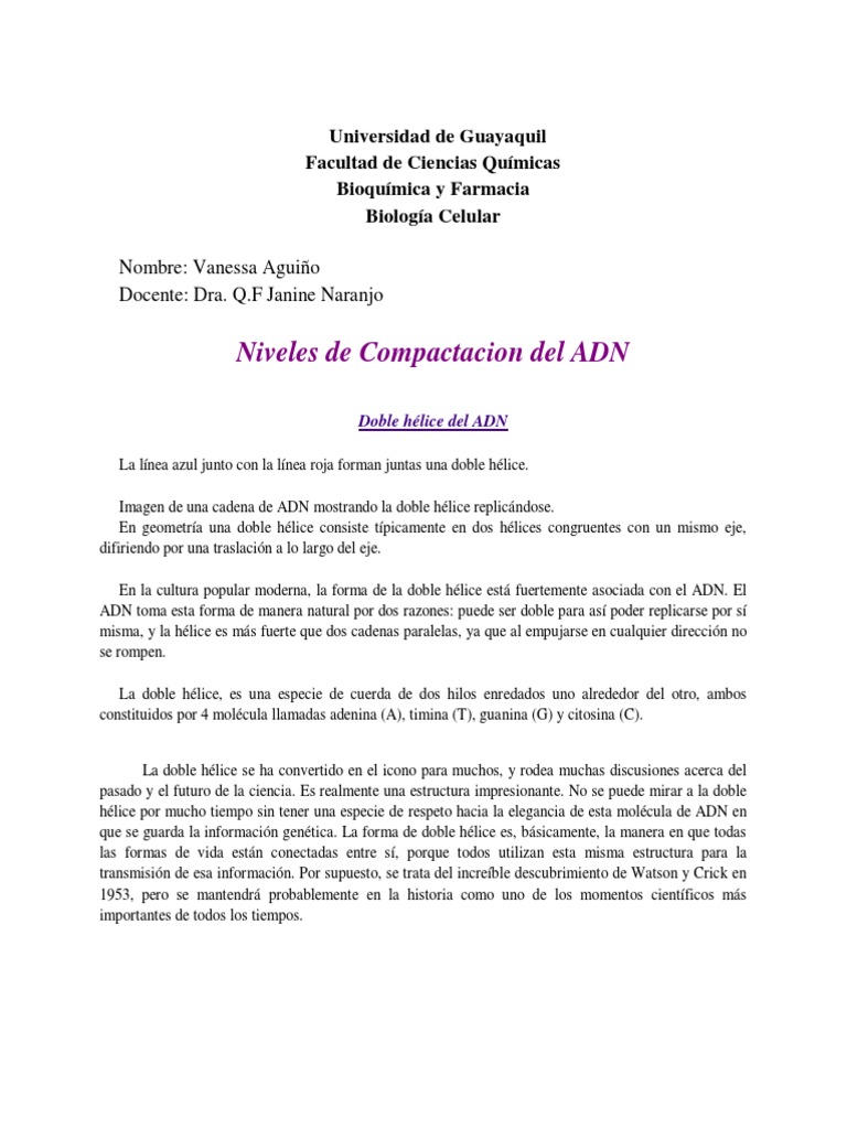 Niveles de compactación del ADN y estructura de la cromatina | PDF | Cromatina | Cromosoma
