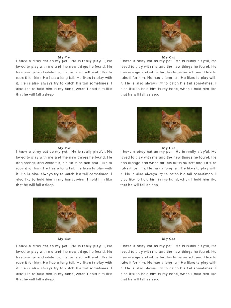 DESCRIPTIVE TEXT Contoh Soal 2 | PDF | Cats | Organisms