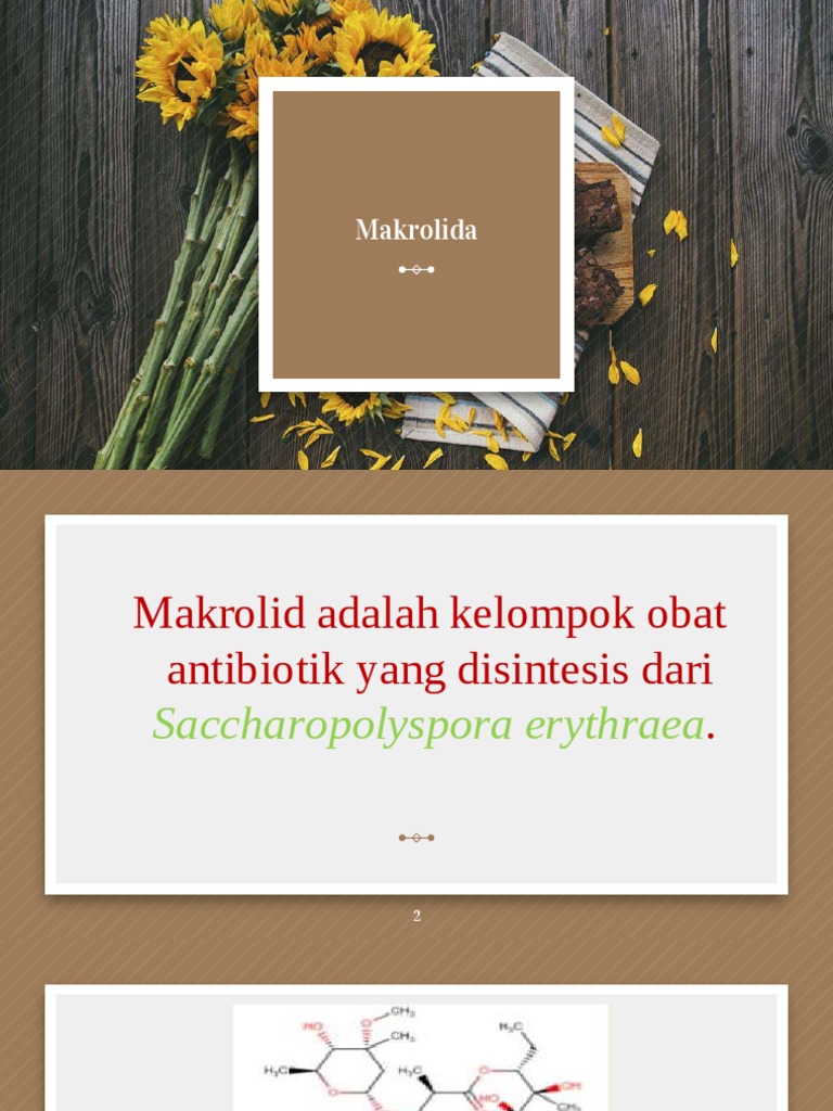 Makrolida - Farmakologi Ii C | PDF | Pengembangan Diri | Kesehatan Holistik