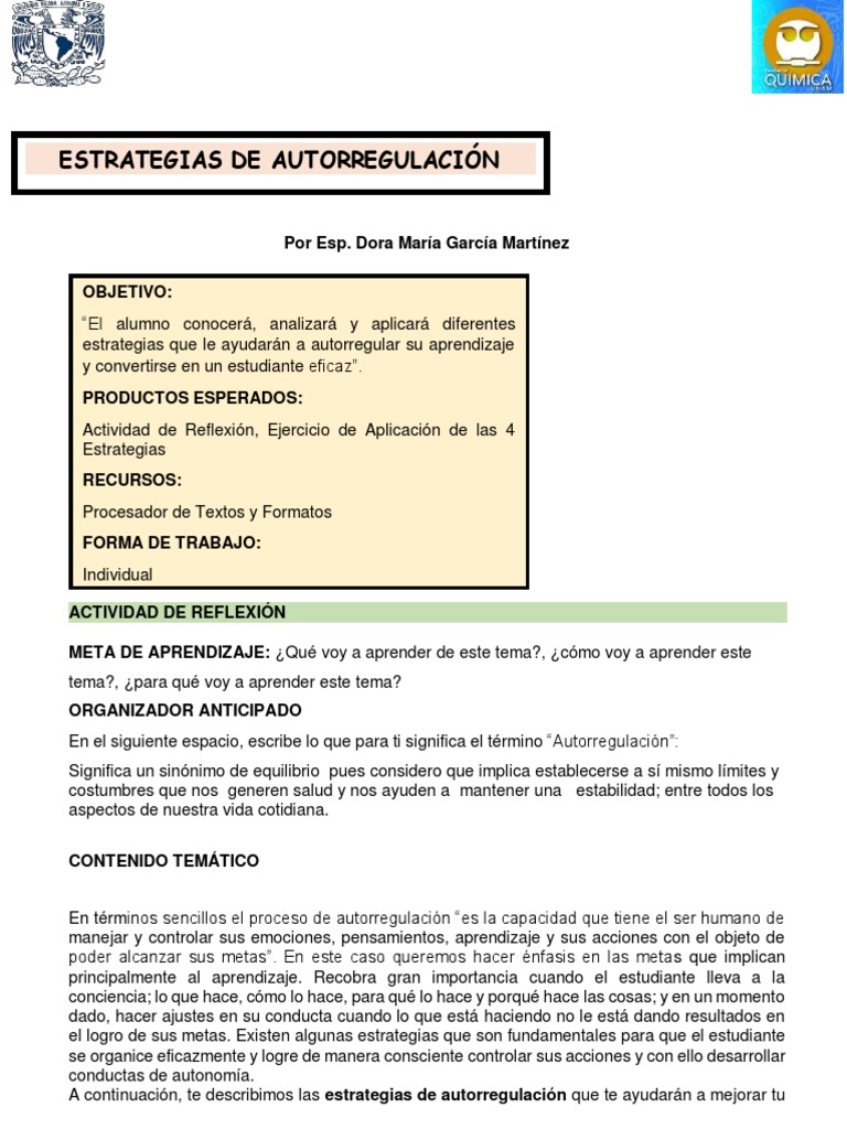 Capítulo Estrategias de Autorregulación | PDF | Aprendizaje | Planificación
