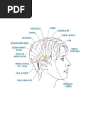 MANUAL PARA LAS BARRAS DE ACCESS (Autoguardado) - 1 - 392 | PDF