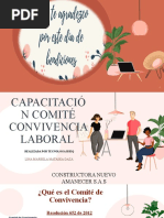 Folleto Comite de Convivencia Laboral | PDF | Bienestar | Medicina