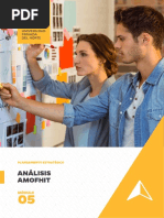 07 Plantilla - Matriz AMOFHIT | PDF | Mercado (economía) | Economias