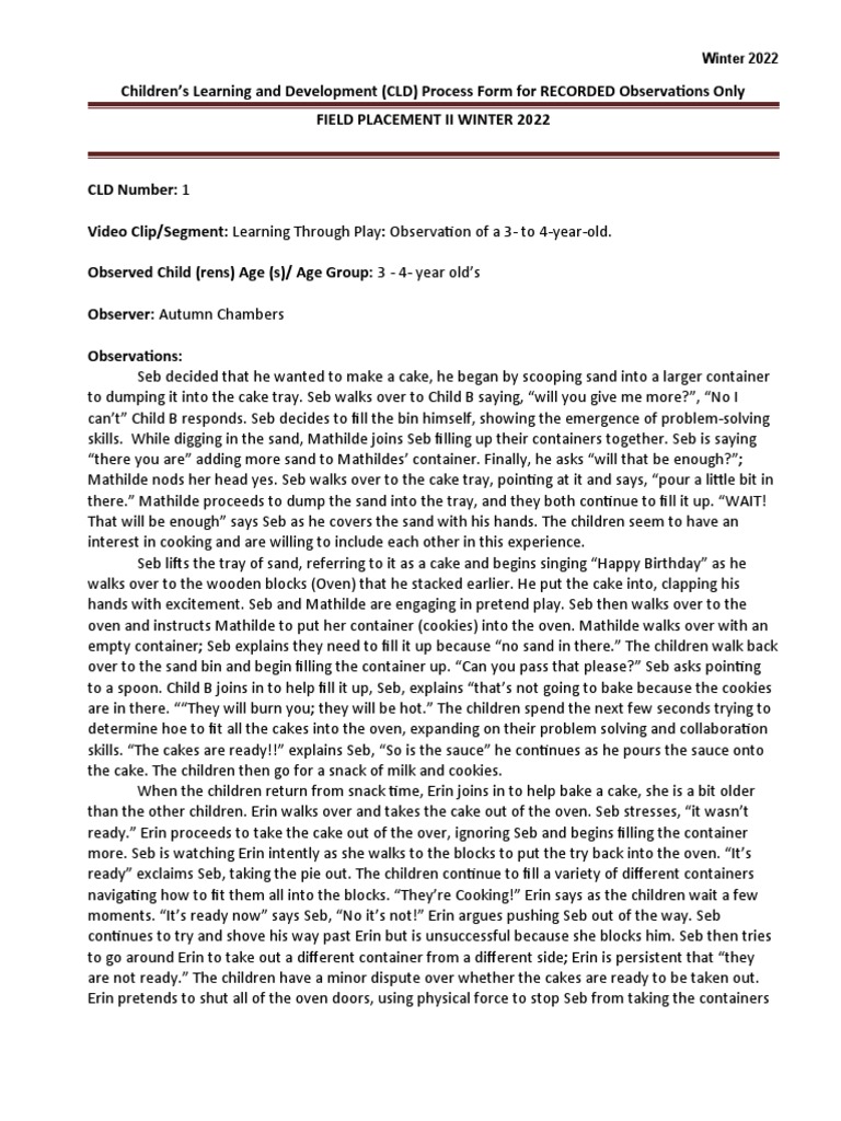 Child Observation Report: Winter 2022 | PDF | Experience | Cognitive ...