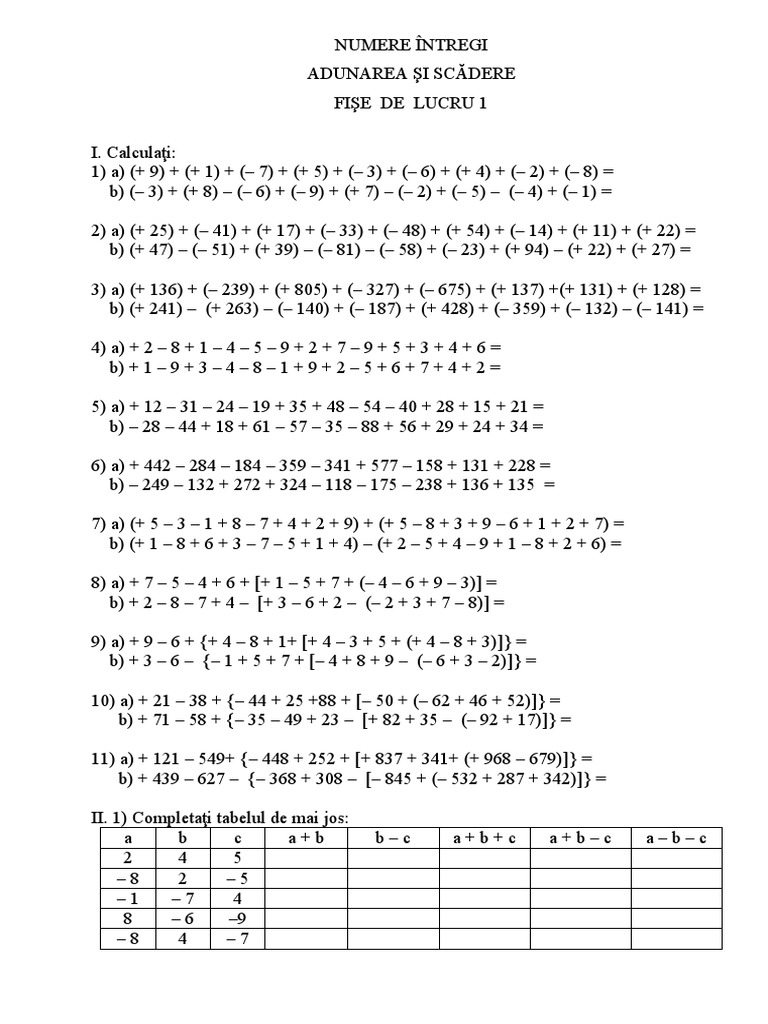 Numere Intregi Fise 1 X | PDF
