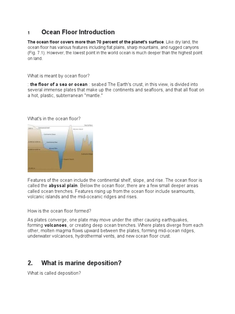 Ocean Floor Introduction | PDF | Seabed | Oceans