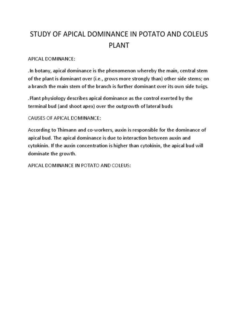 Study of Apical Dominance in Potato and Coleus Plant - Docx Ashick | PDF