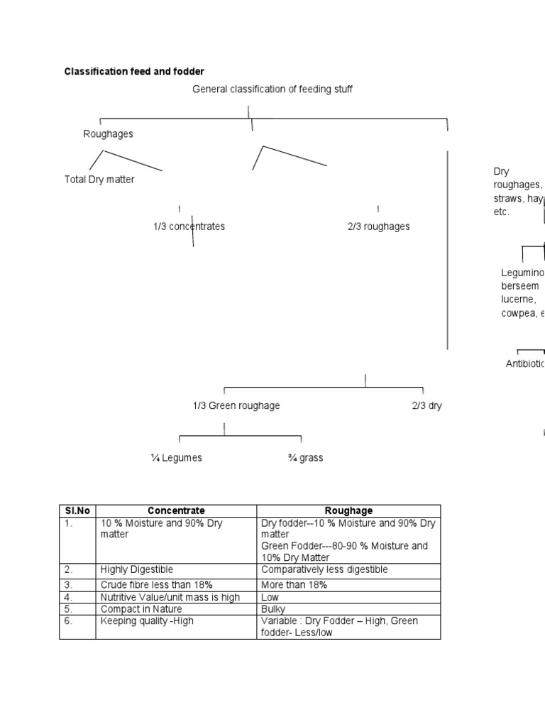 Classification feed and fodder | PDF | Flour | Fodder