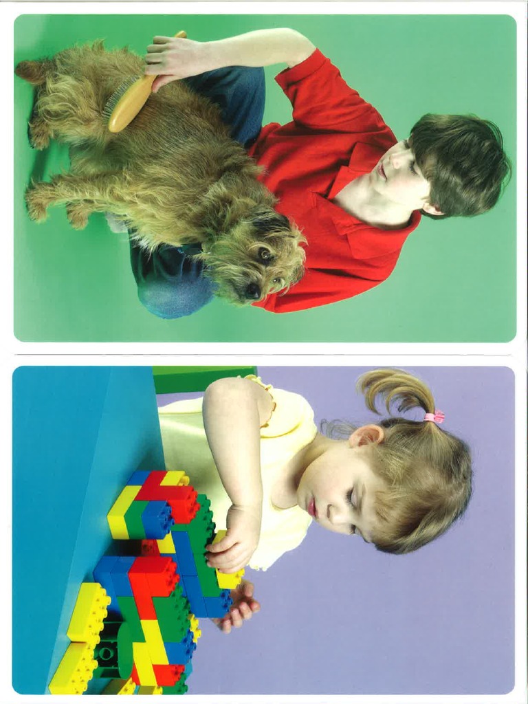 COLORCARDS BasicVerbs | PDF