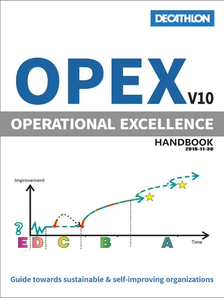 Decathlon - OPEX V10 Visual Book | PDF | Performance Indicator | Supply ...