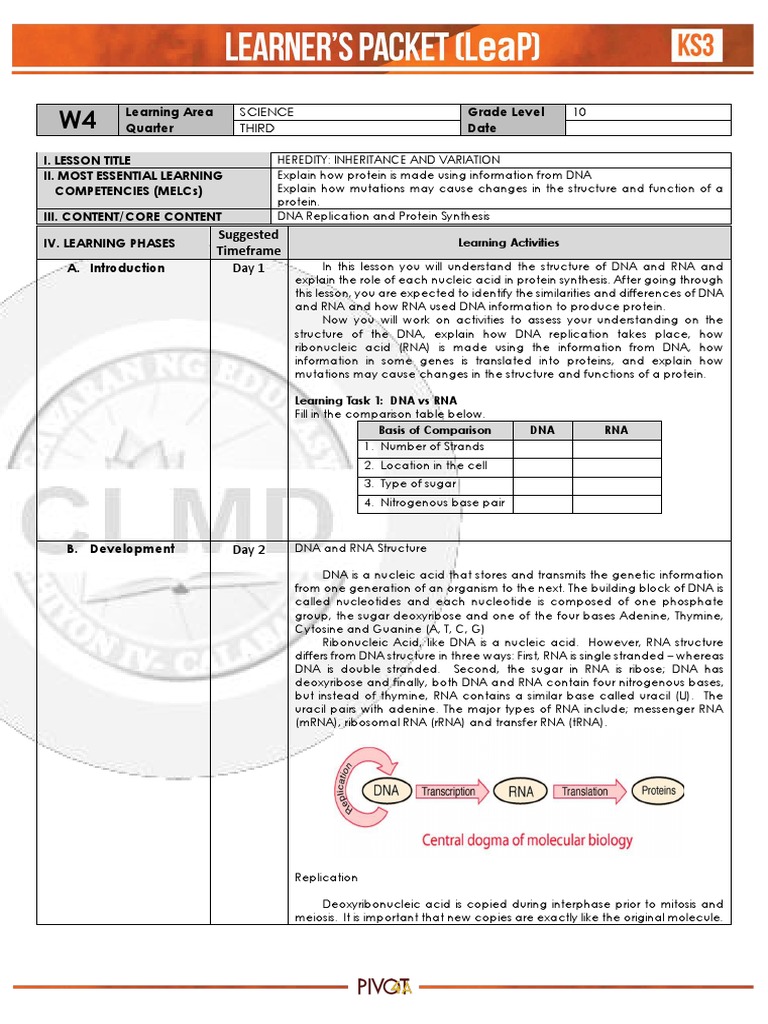 LeaP Science 10 Q3 Week 4 | PDF | Rna | Dna