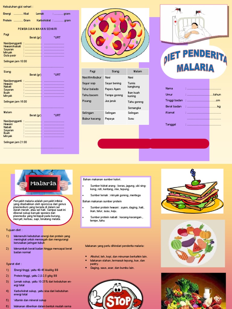 Leaflet Malaria | PDF