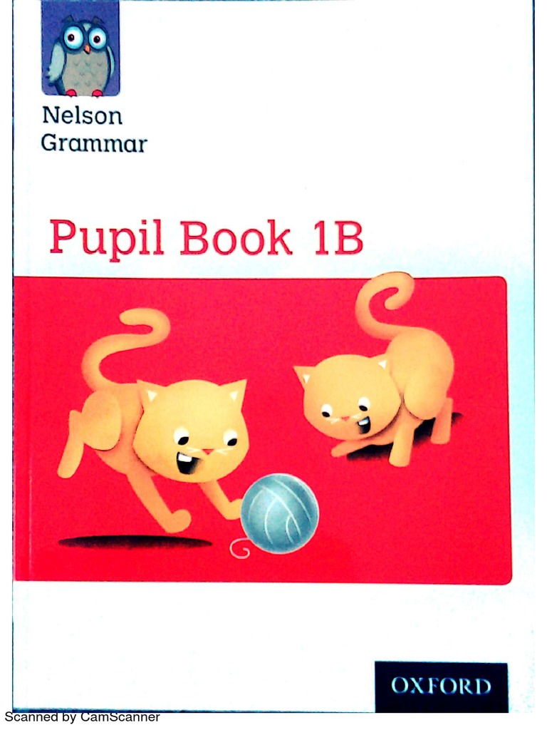 Nelson Grammar 1b | PDF