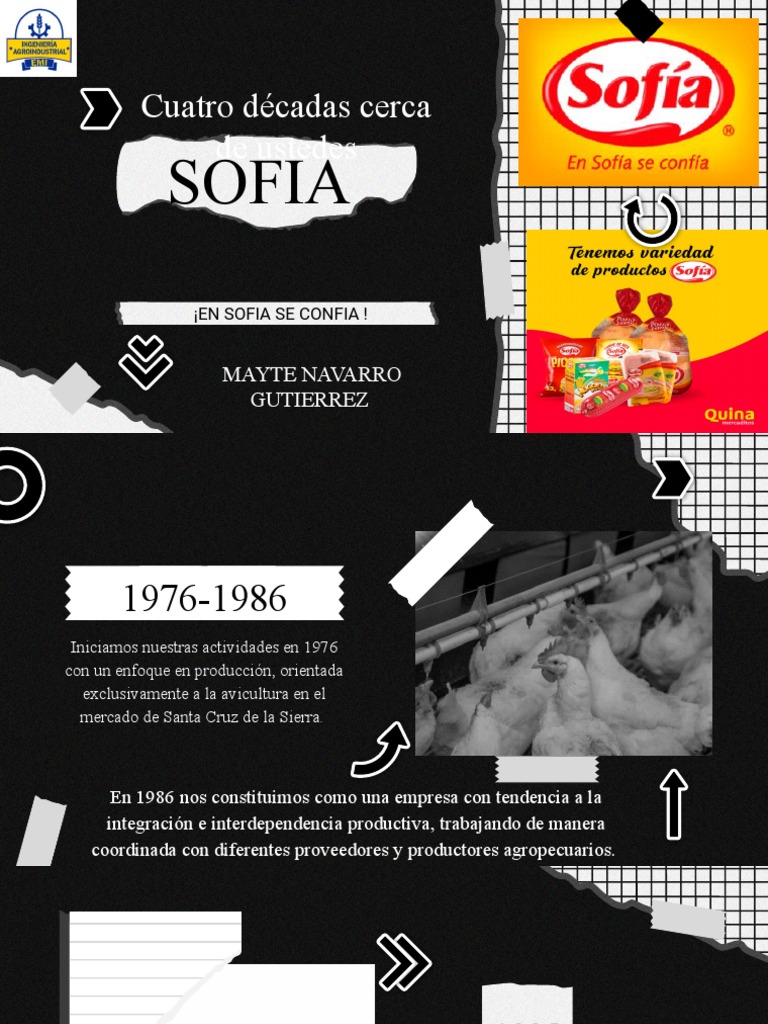 Empresa Sofia | PDF | Alimentos | Bolivia