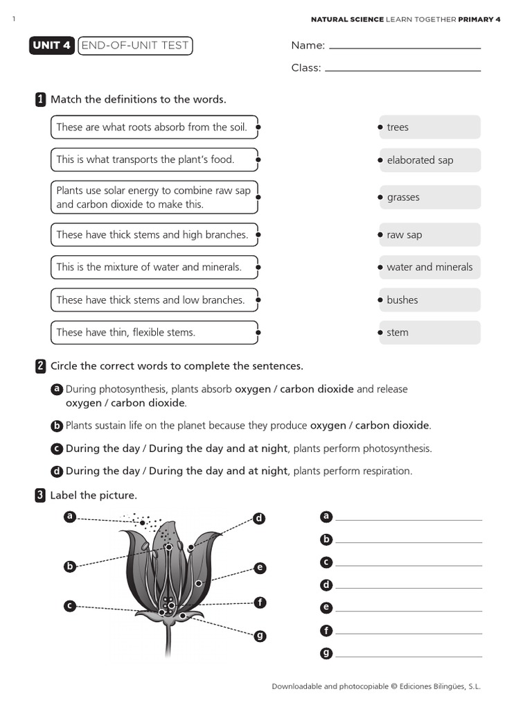 Unit 4: Natural Science Learn Together Primary 4 1 | Download Free PDF ...