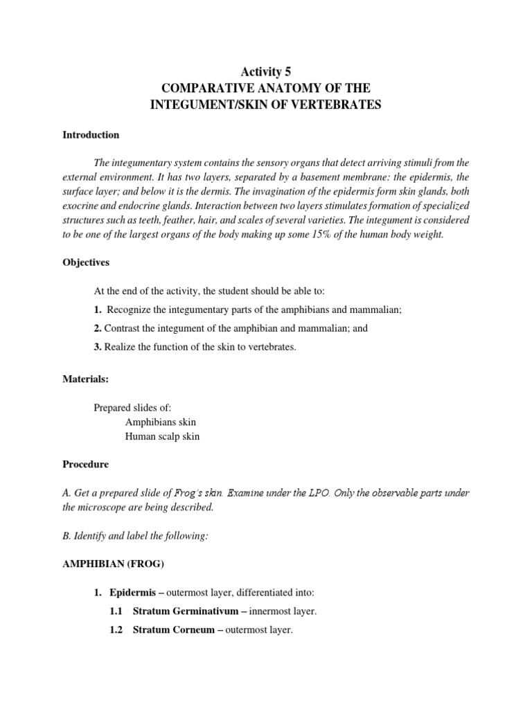 Activity 5 - Comparative Anatomy of The Integument - Skin of ...