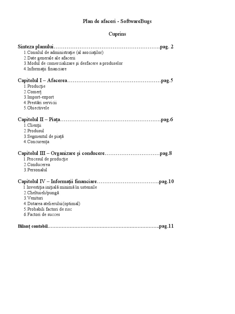 Plan de Afaceri - Software Bugs | PDF