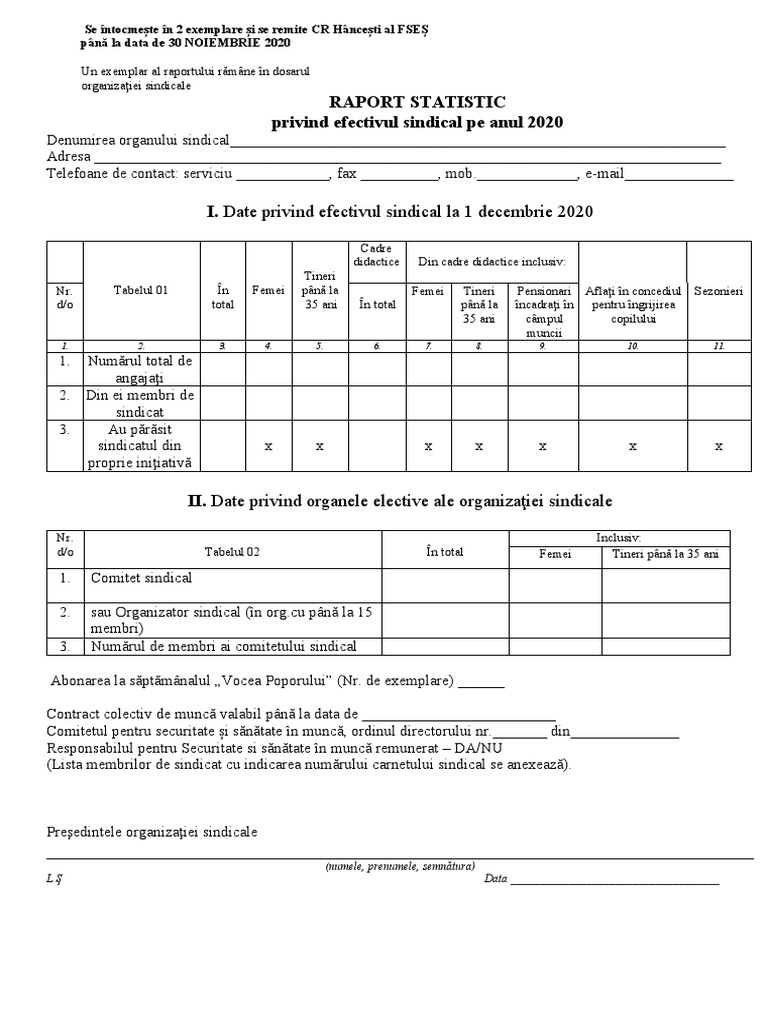 Formular Raport Statistic | PDF