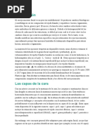 Anatomía de la región superciliar | PDF | Anatomía humana | Cabeza y ...