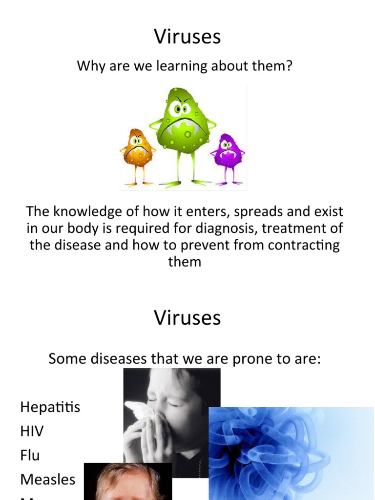 Viruses: Why Are We Learning About Them? | PDF | Virus | Cell (Biology)
