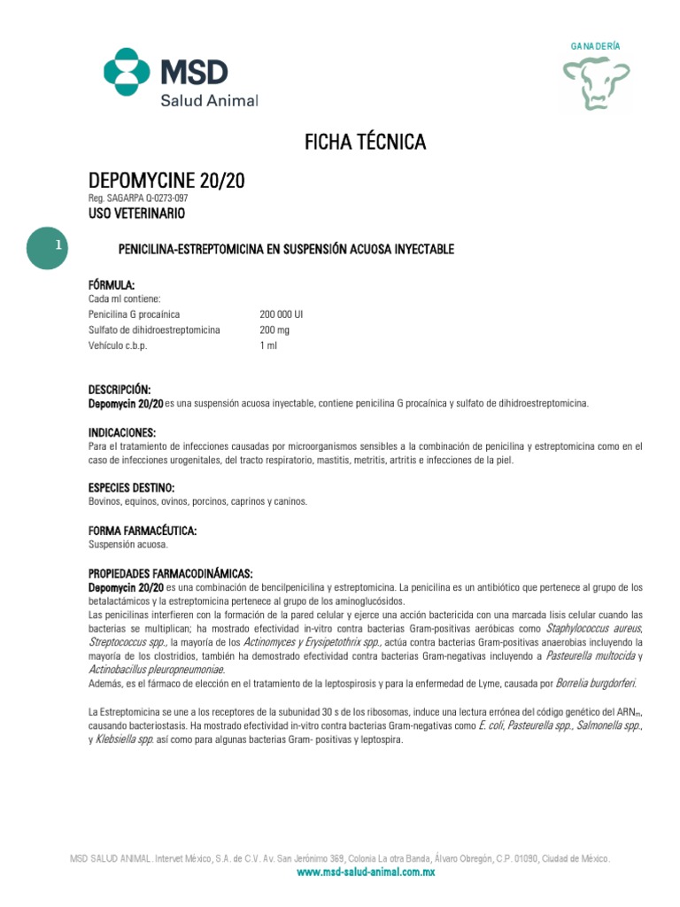 Depomicina | PDF | Penicilina | Las bacterias