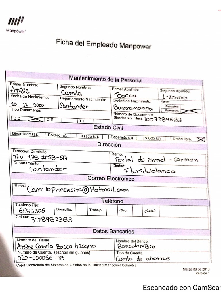 Formatos Manpower | PDF